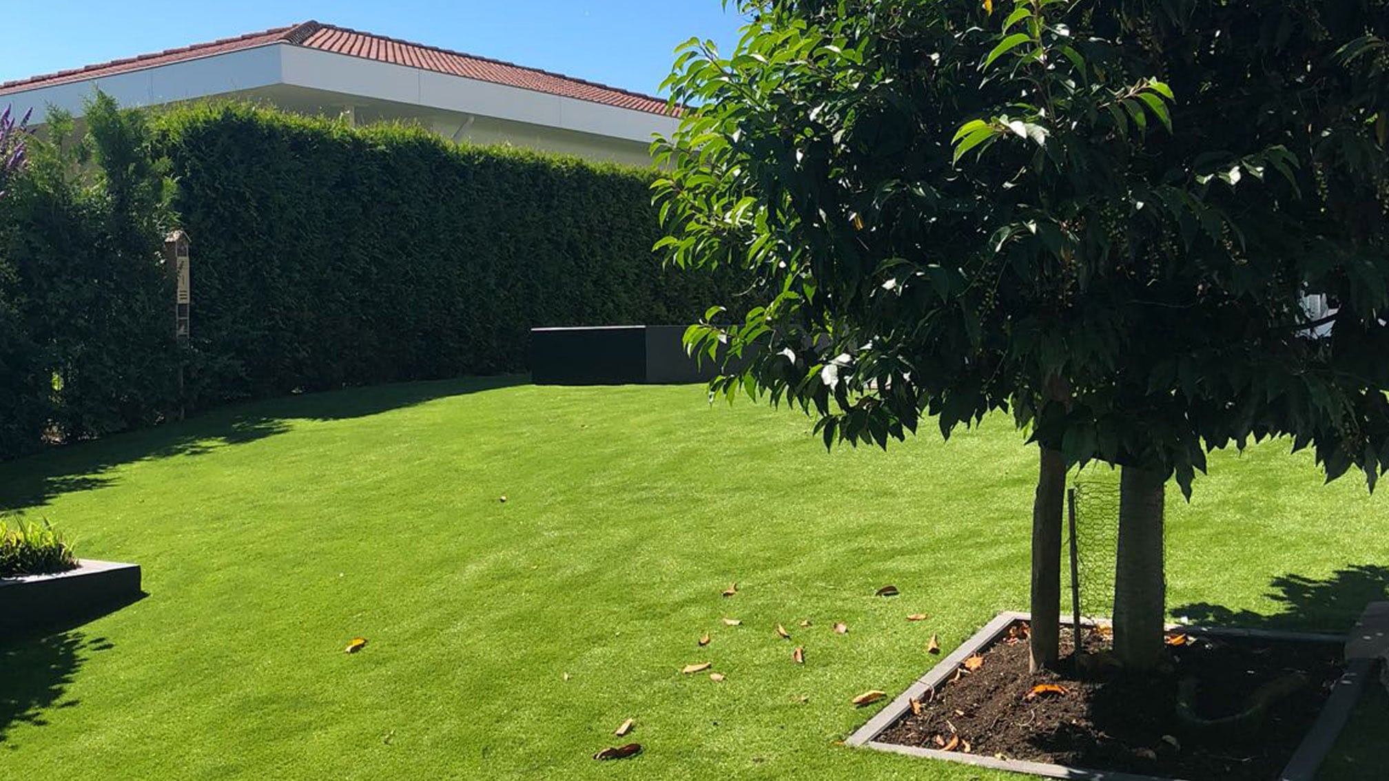 Césped Artificial Modelo Lester Averman 40 MM - Muestra Gratis